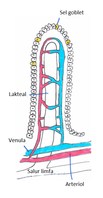 Nota & Latihan Biologi KSSM Tingkatan 4 Bab 9.3 - WeAcademia [2024]